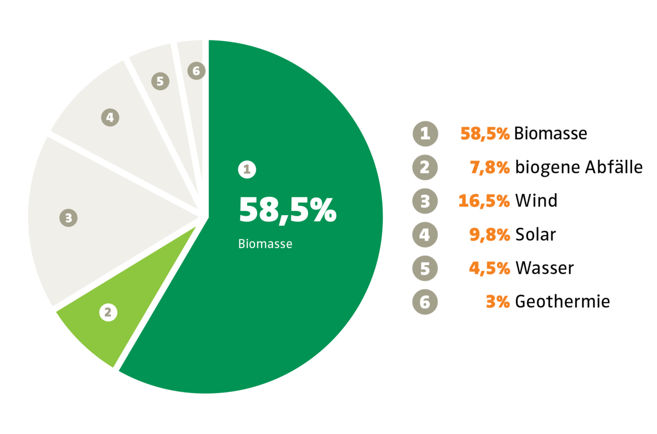 Regenwald Report 03/2018 - Natur bewahren – in Europa - Rettet den Regenwald e.V.