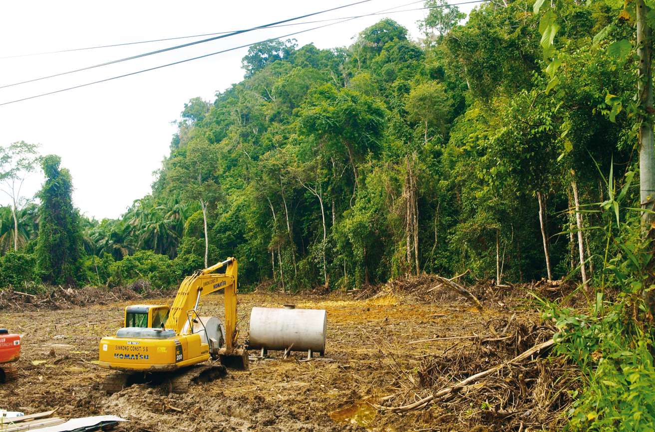 Regenwald Report 02/2017 - Regenwald der 700 Elefanten gerettet - Rettet den Regenwald e.V.