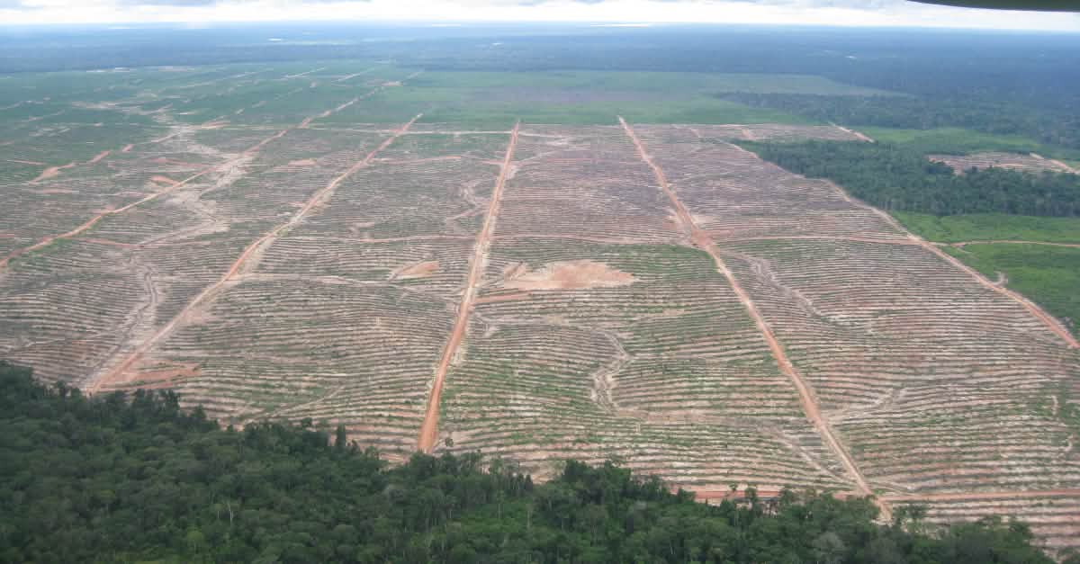 Indigene Shipibo fordern Entschuldigung der US-Botschaft in Peru ...