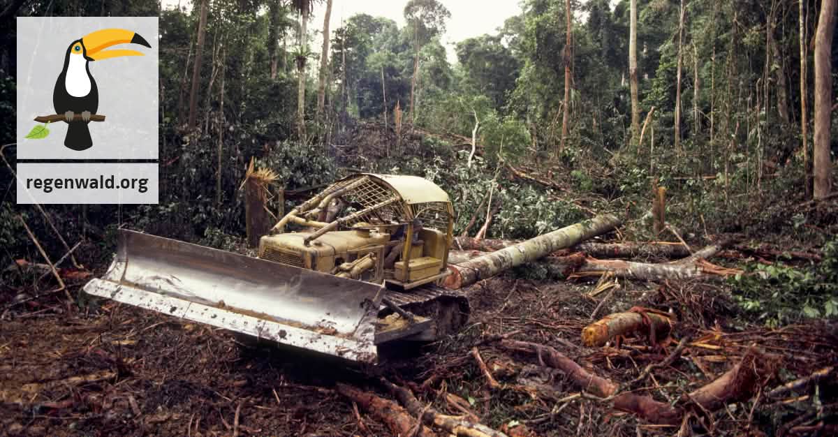 Bitte keine Bänke aus Tropenholz! - Rettet den Regenwald e.V. - Rettet den Regenwald e.V.
