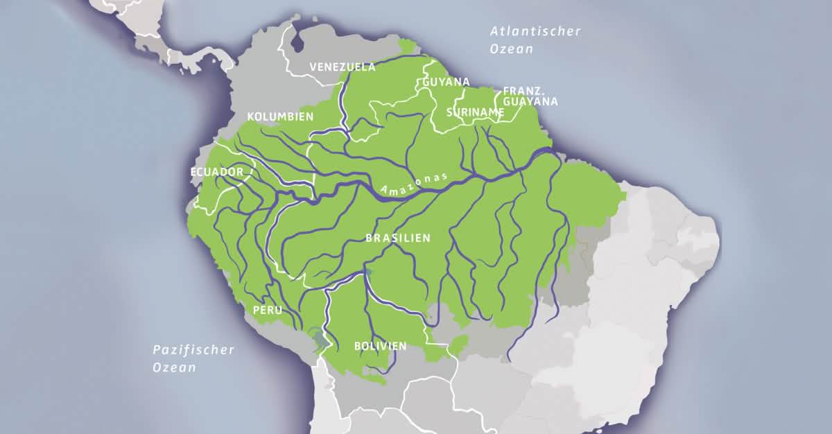 Regenwald Report 01/2023: Schatzkammer Amazonien - Amazonien ...