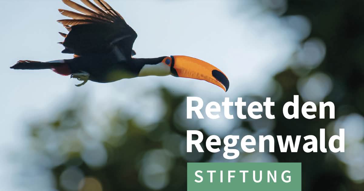 Stiftung - Rettet den Regenwald e.V. - Rettet den Regenwald e.V.