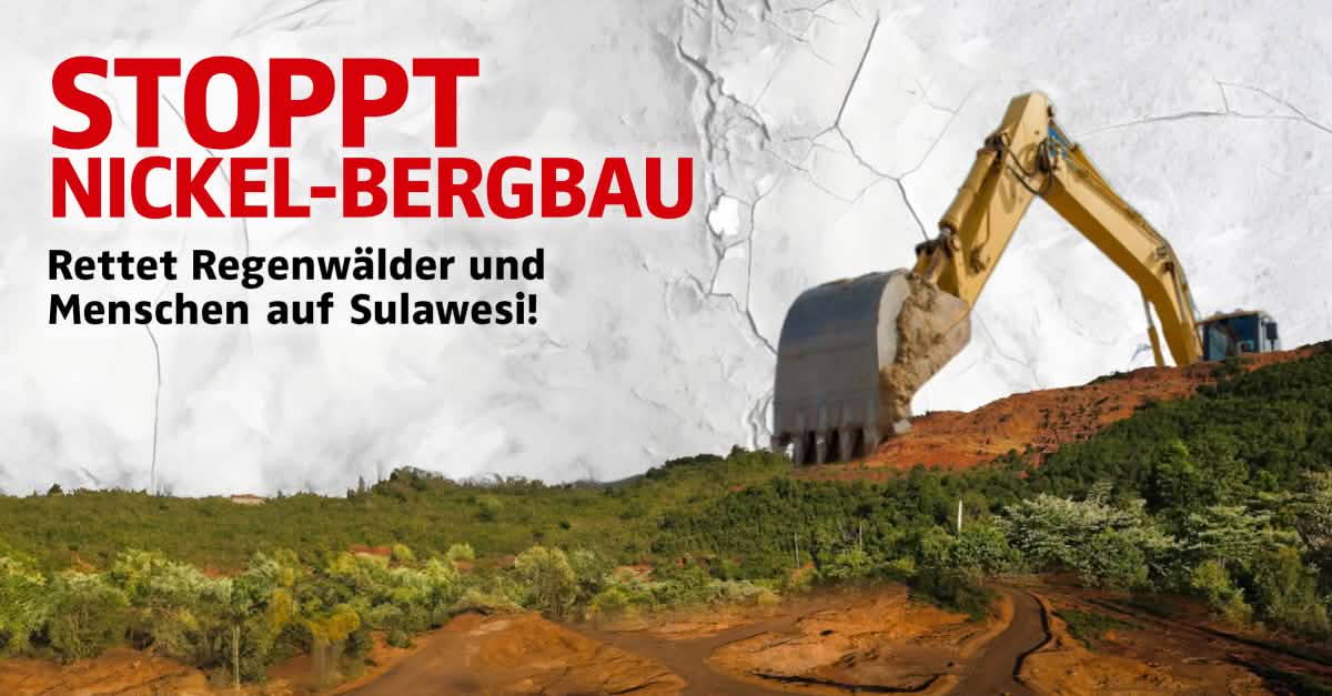 Demo am 10. März (Sonntag) gegen Umweltzerstörung durch Elektroautos - Rettet den Regenwald e.V.