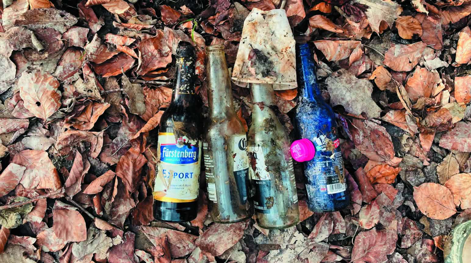 Regenwald Report 01/2022 - Flaschensammeln für den Regenwald - Rettet ...