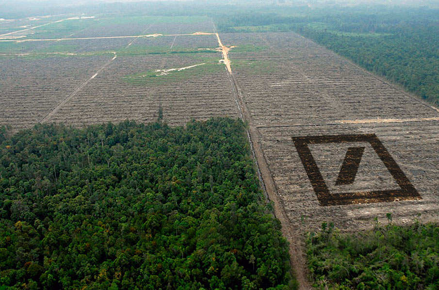 Deutsche Bank bringt Abholzung an die Börse - Rettet den Regenwald e.V.