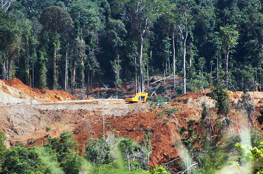 Jetzt unterschreiben: Den Bergbau dauerhaft stoppen! - Rettet den Regenwald e.V.