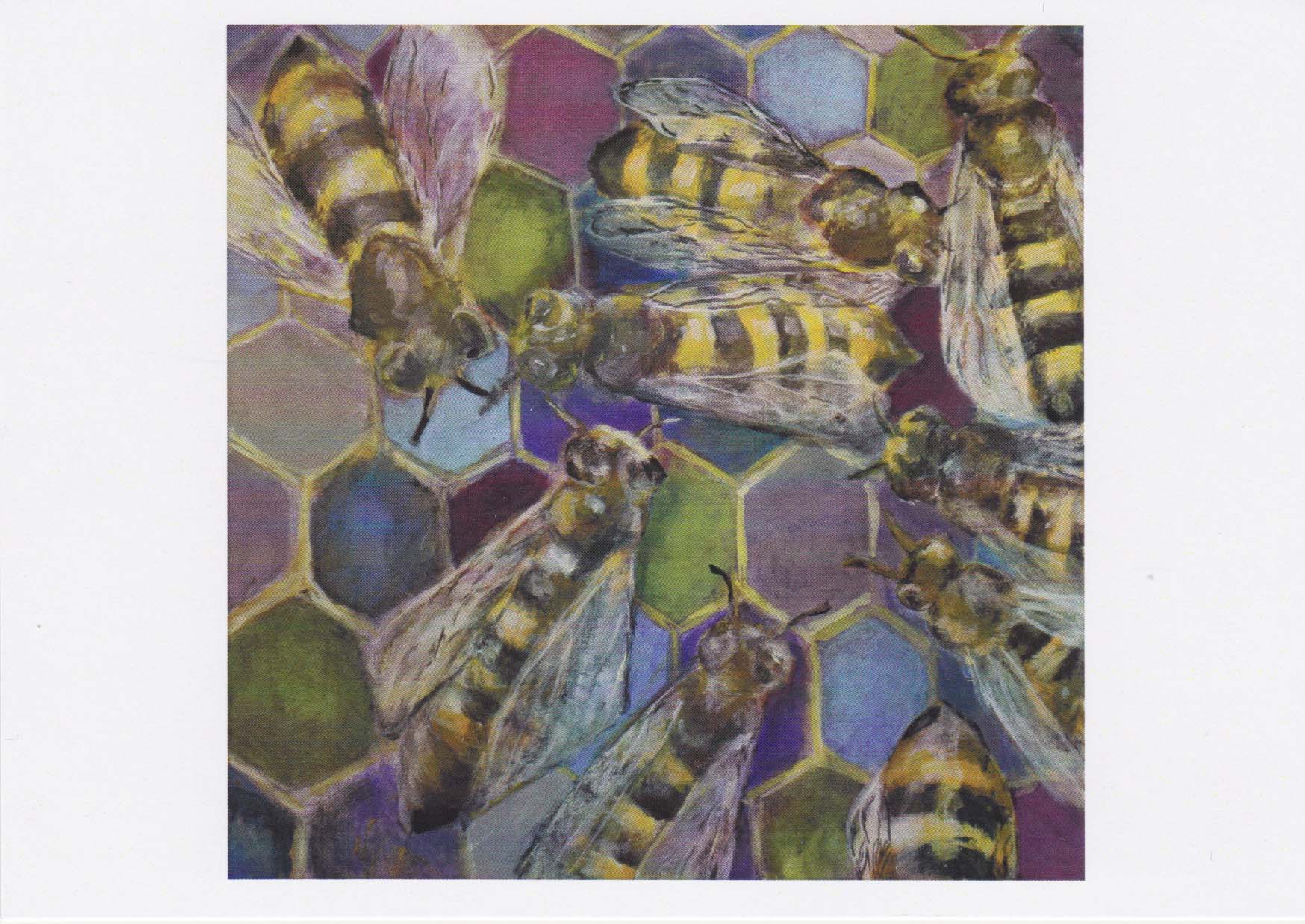 Der Regenwald-Shop - Bienen 2 - Rettet den Regenwald e.V.