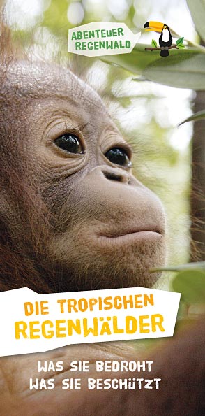 Der Regenwald-Shop - Regenwald - Rettet den Regenwald e.V.